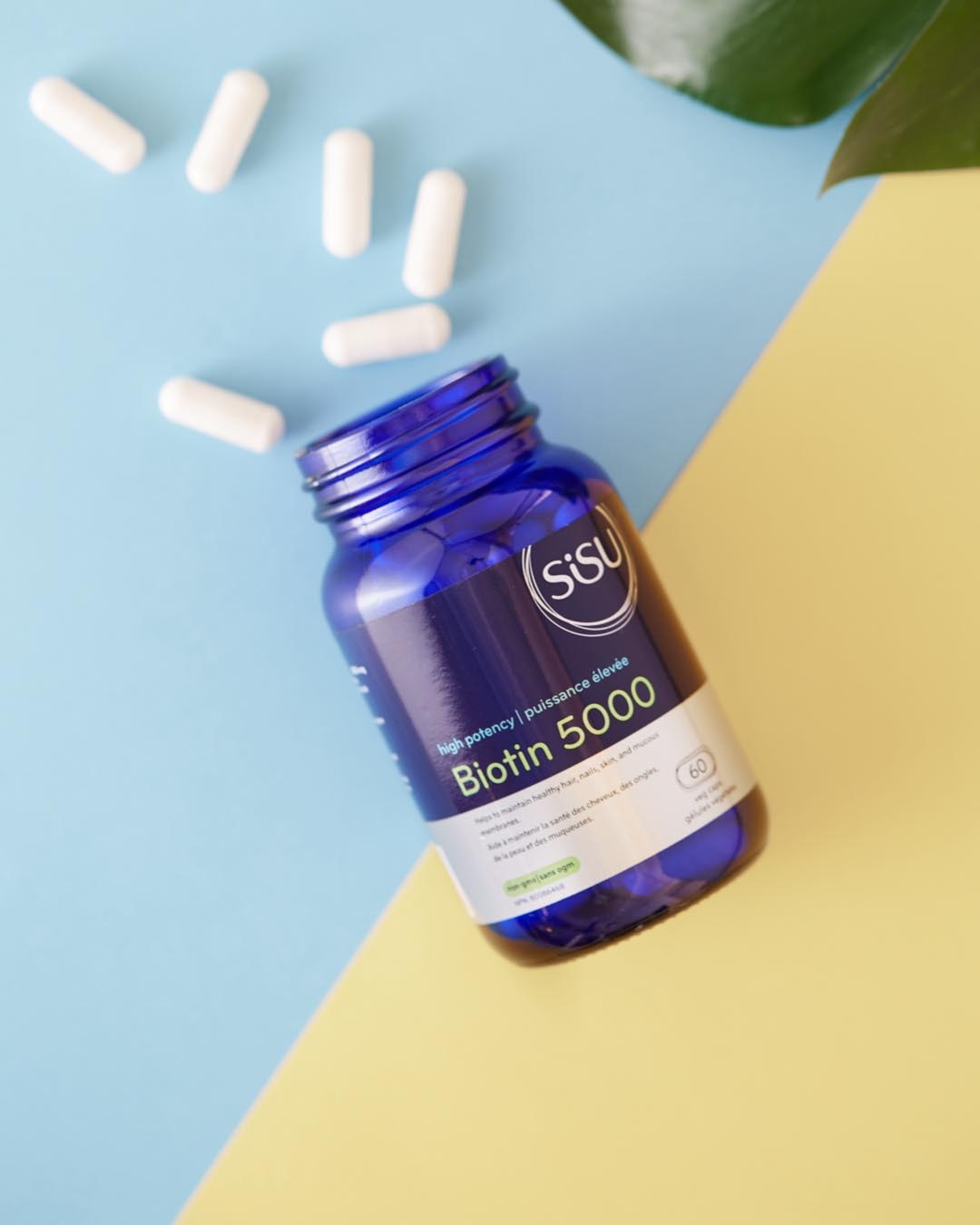 Sisu Nutritional Supplements - Let Us Be Your Guide to Wellness